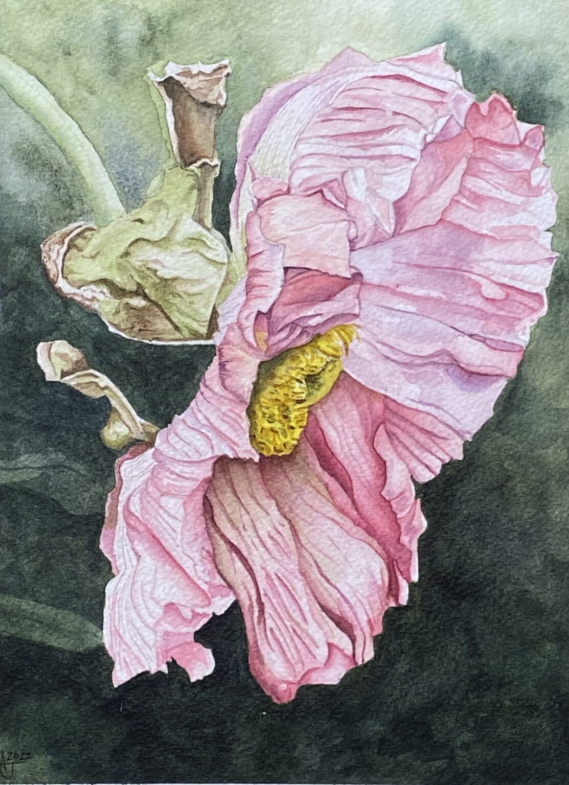 Call for Artists: 2024 Small Works Show – Gallery North in Edmonds